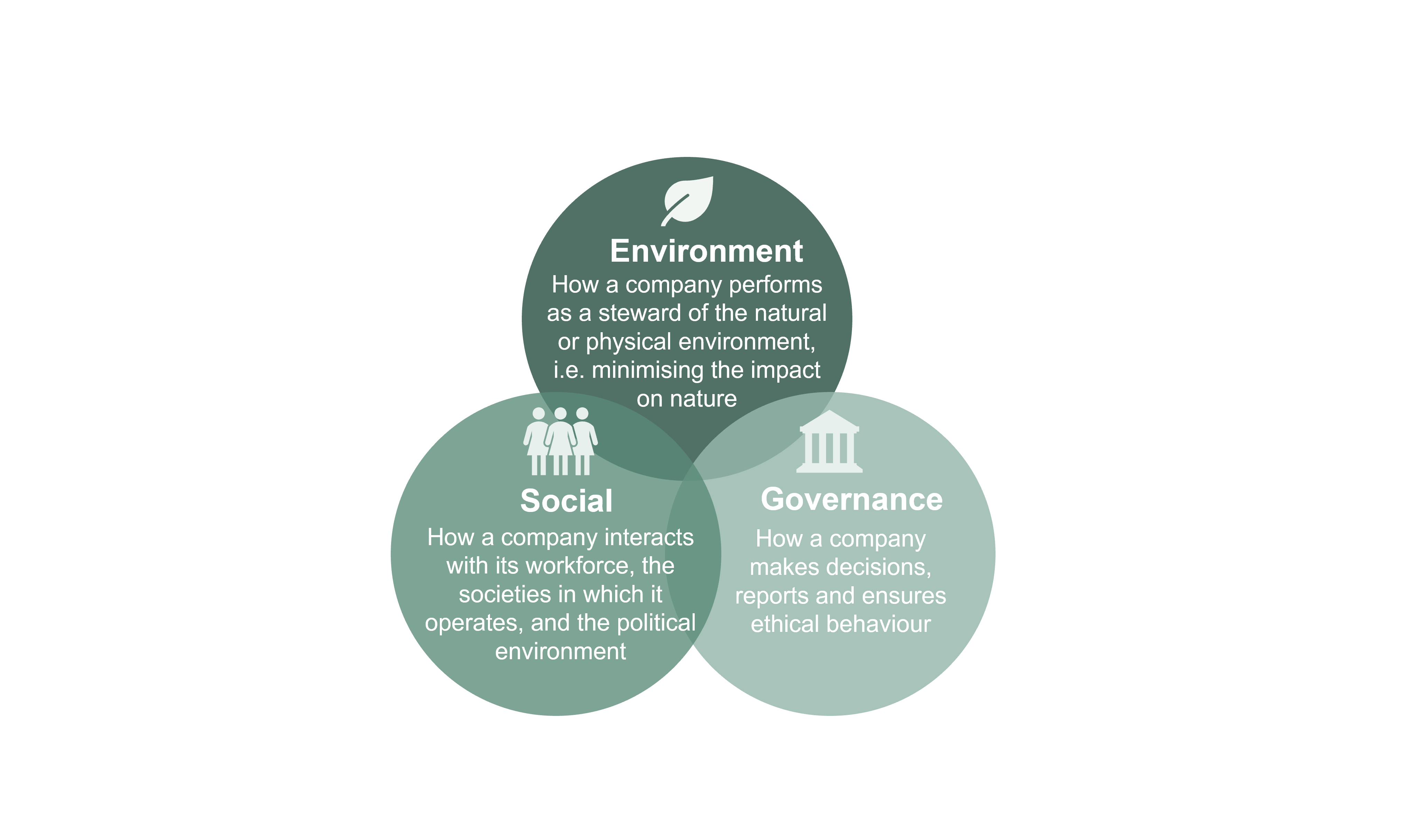 ESG A Primer For Insurance Executives Oxbow Partners ESG A Primer For Insurance Executives Oxbow Partners