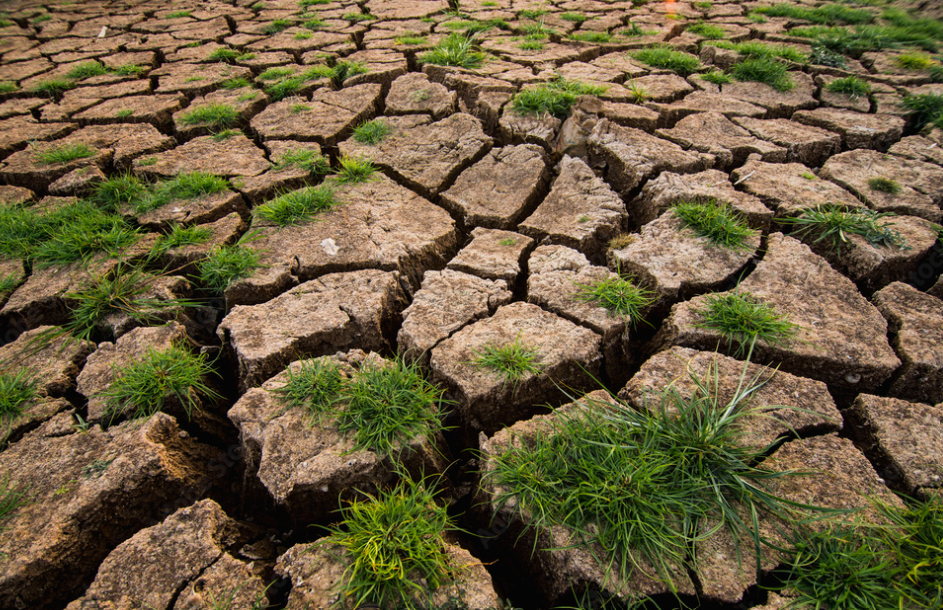 What a ‘Super El Niño’ could mean for reinsurers | Oxbow Partners